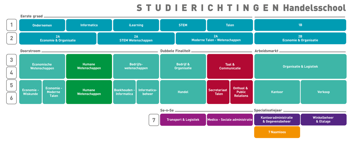 Overzicht studierichtingen | Provinciale Handelsschool Hasselt